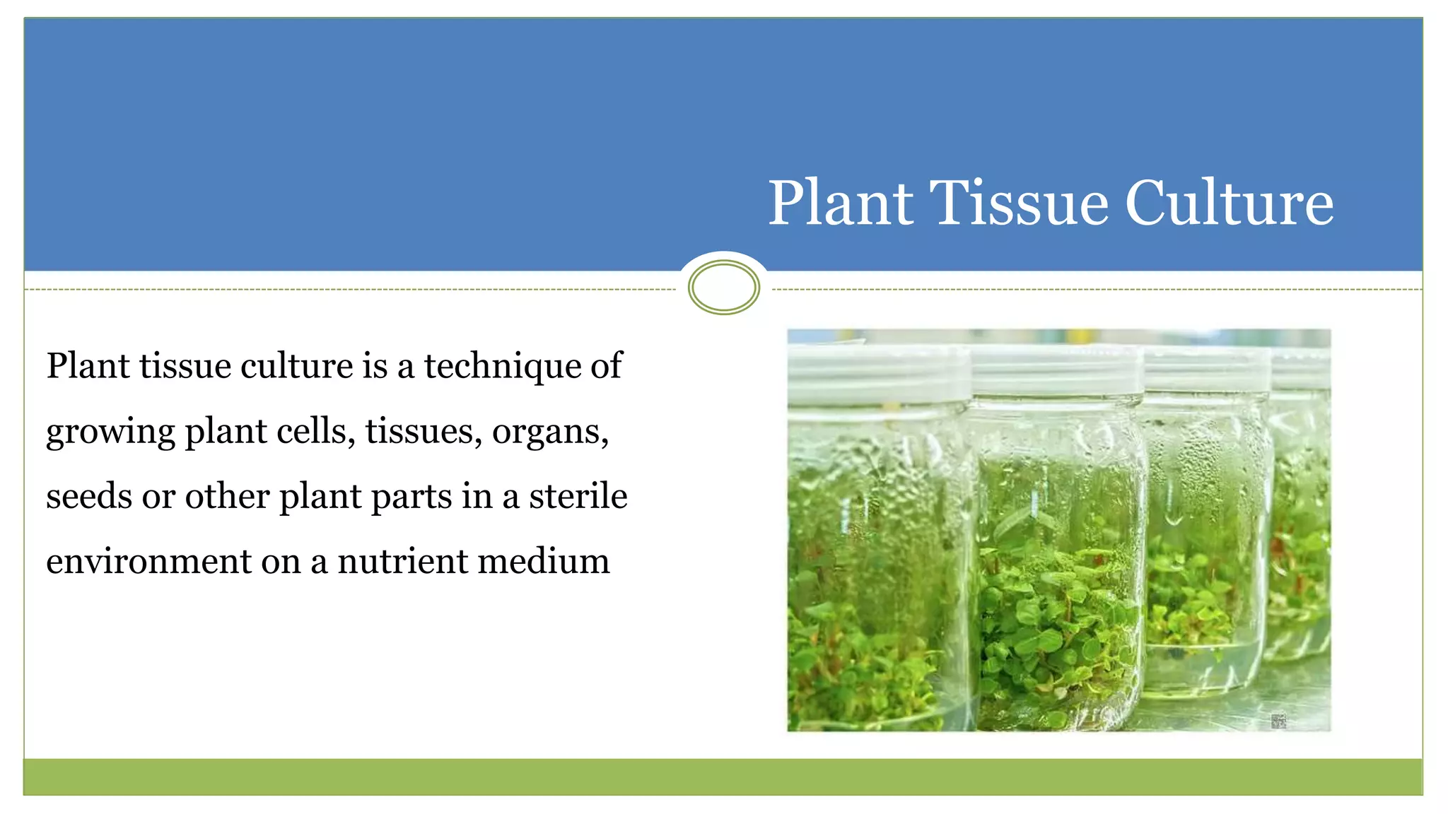 Medicinal and Aromatic Plants.pptx