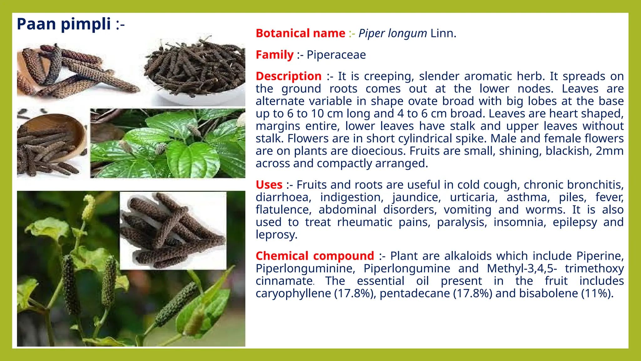 IDENTIFICATION OF THE MEDICINAL AND AROMATIC PLANTS | PPTX