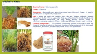 IDENTIFICATION OF THE MEDICINAL AND AROMATIC PLANTS | PPT