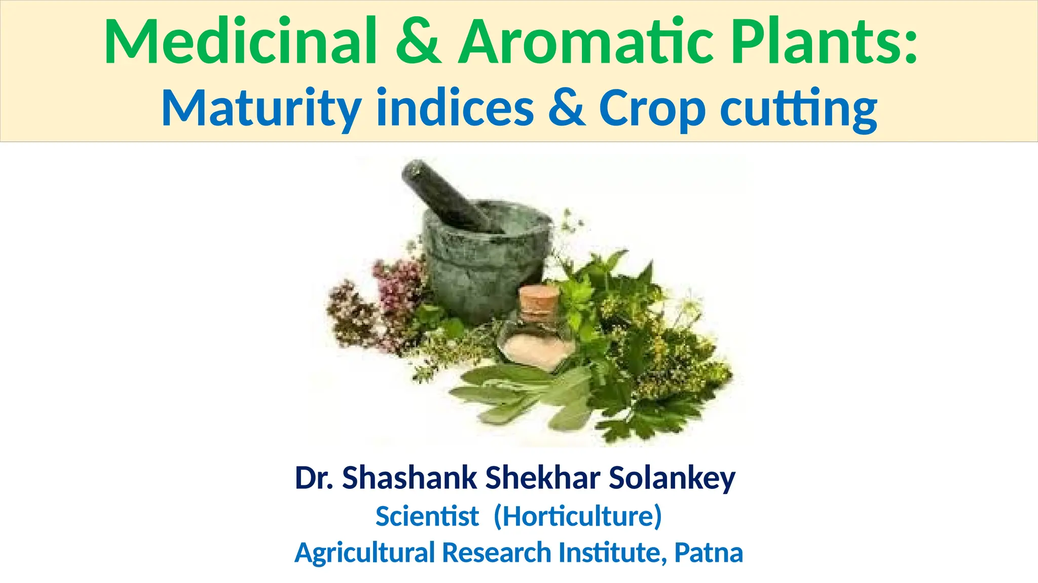 Medicinal & Aromatic Plants-Maturity indices & harvesting | PPTX