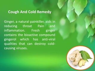 MEDICINAL BENEFITS OF GINGER | PPT