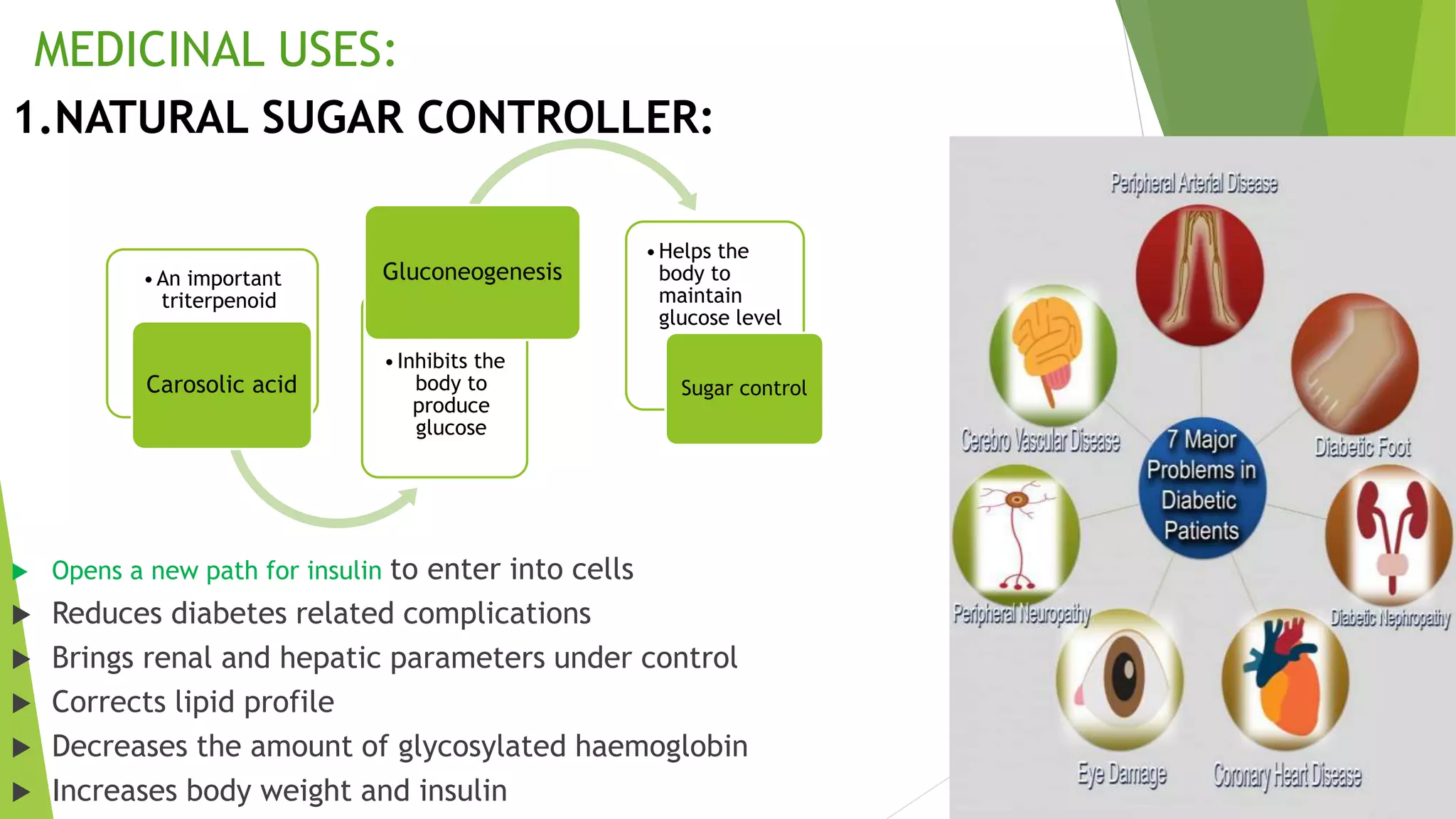 Medicinal Benefits of Insulin Plant (Costus igneus) | PPTX