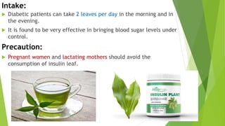 Medicinal Benefits of Insulin Plant (Costus igneus) | PPTX