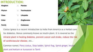 Medicinal Benefits of Insulin Plant (Costus igneus) | PPTX