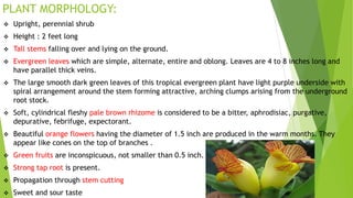 Medicinal Benefits of Insulin Plant (Costus igneus) | PPTX