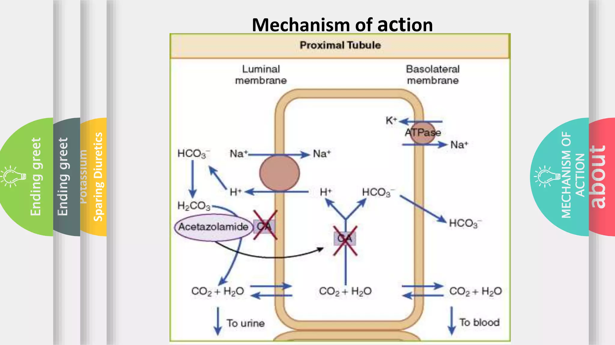 Diuretics | PPTX