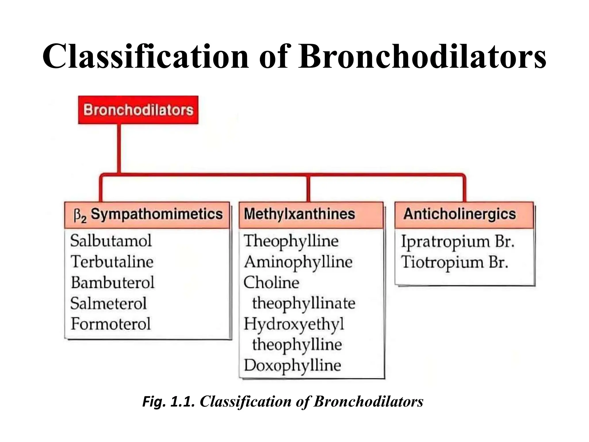BRONCHODILATORS -SALBUTAMOL AND TERBUTALINE | PPTX