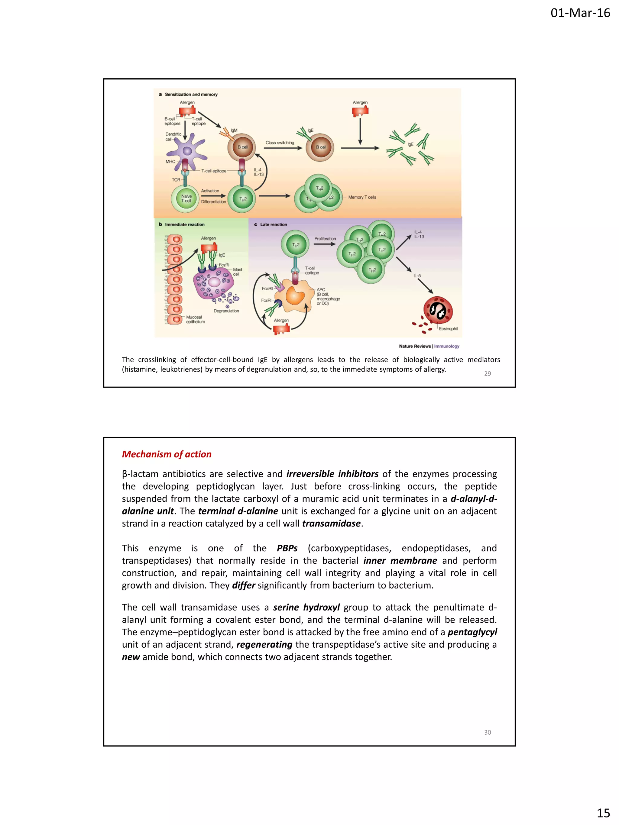 Medicinal chemistry iii_penicillins_part_1 | PDF