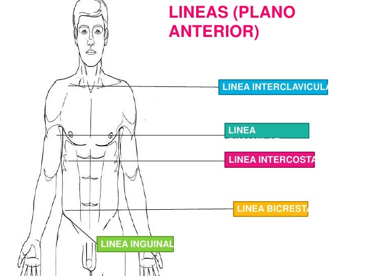 Anatomia topografica