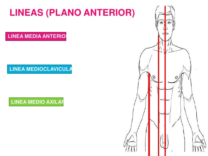 Anatomia topografica