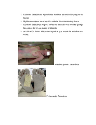 Medicina legal | DOCX