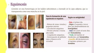 Medicina Legal - Grupo # 2 (3).pptx