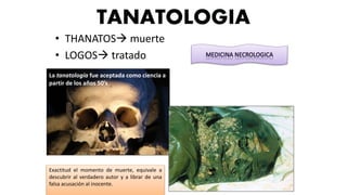 TANATOLOGIA MEDICINA LEGAL MUERTE FENOMENOS CADAVERICOS | PPTX