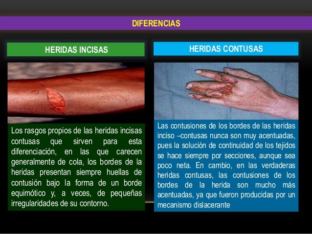 Medicina legal pastor. leal