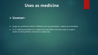 Medicinal fungi | PPTX