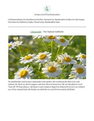 Restorative Nursery Pack Shiny new Deliverable | PDF