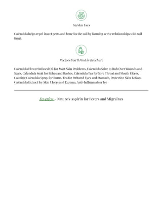 Restorative Nursery Pack Shiny new Deliverable | PDF