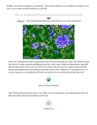 Restorative Nursery Pack Shiny new Deliverable | PDF