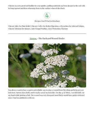 Restorative Nursery Pack Shiny new Deliverable | PDF