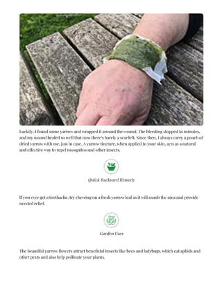 Restorative Nursery Pack Shiny new Deliverable | PDF