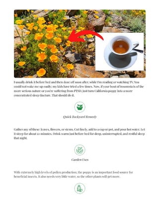 Restorative Nursery Pack Shiny new Deliverable | PDF