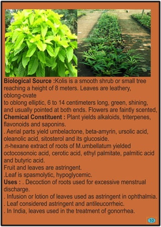 PUNE UNIVERSITY BOTANICAL GARDEN TRIP | PDF