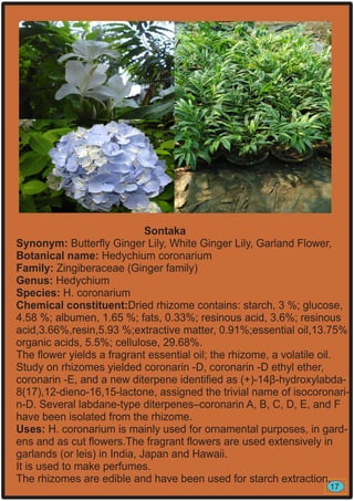 PUNE UNIVERSITY BOTANICAL GARDEN TRIP | PDF