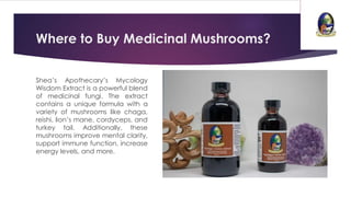 Medicinal Mushrooms: Types, Benefits, and Usage Explained | PDF