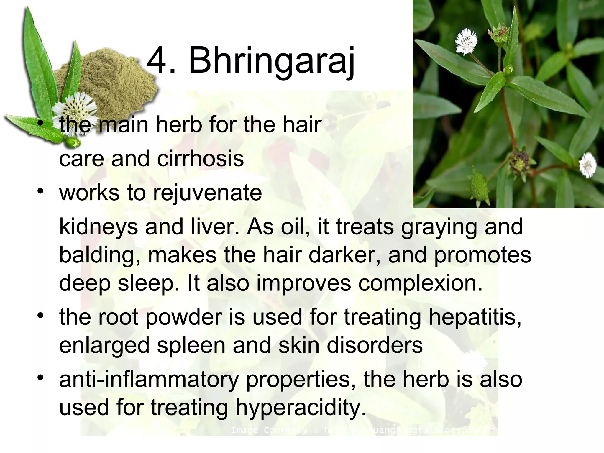 Medicinal plants | PPT