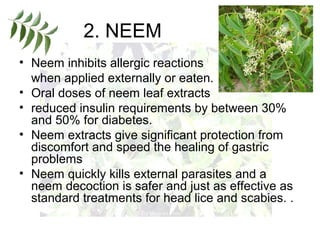 Medicinal plants | PPT