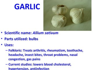 Medicinal plant and its prospects in bihar | PPT