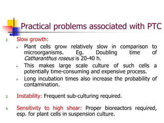 Plant Tissue culture part II by Dr. Preeti Verma | PDF