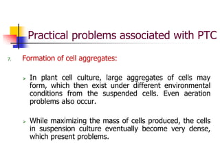 Plant Tissue culture part II by Dr. Preeti Verma | PDF