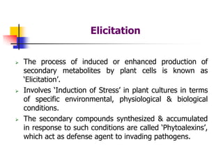 Plant Tissue culture part II by Dr. Preeti Verma | PDF