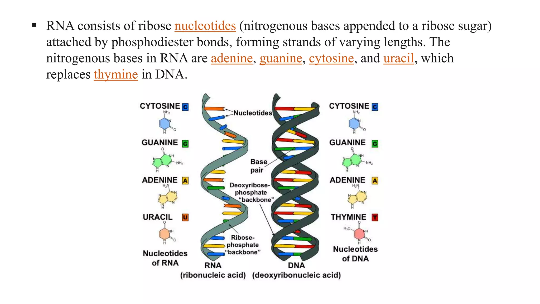 MEDICINAL PLANT BIOTECHNOLOGY UNIT 1, PCG SEM 2.pptx