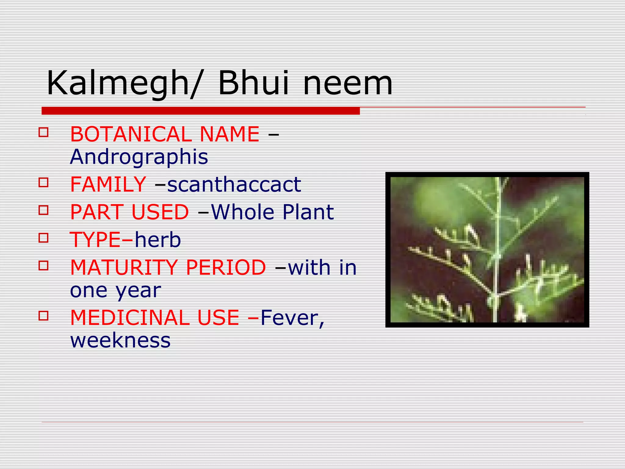 Medicinal plants | PPT