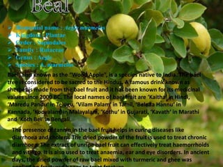 Medicinalplants 141222223747-conversion-gate02 | PPT