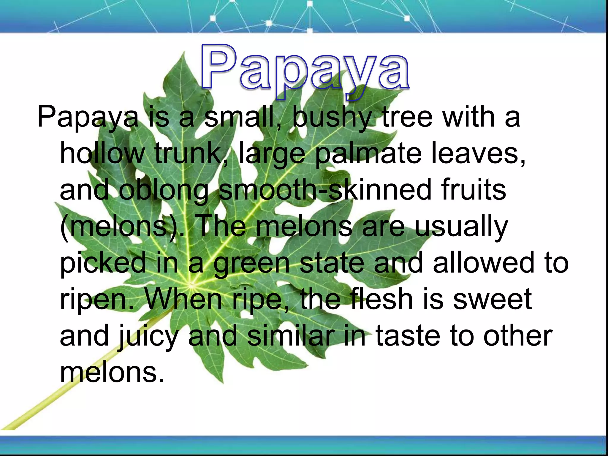 Some Medicinal plants & Their Uses | PPTX Some Medicinal plants & Their Uses | PPTX