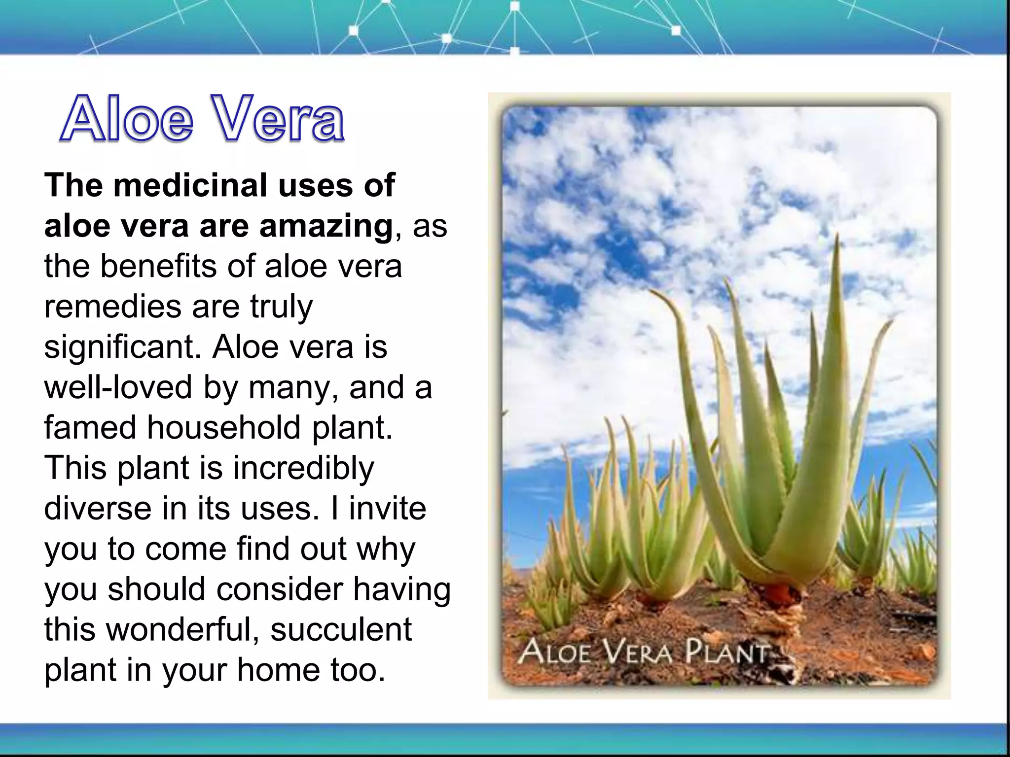 Some Medicinal plants & Their Uses | PPTX Some Medicinal plants & Their Uses | PPTX