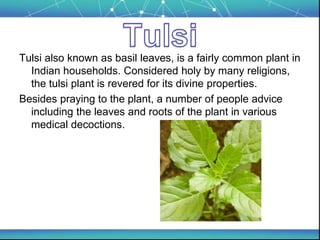 Some Medicinal plants & Their Uses | PPTX
