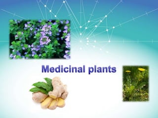 Some Medicinal plants & Their Uses | PPTX