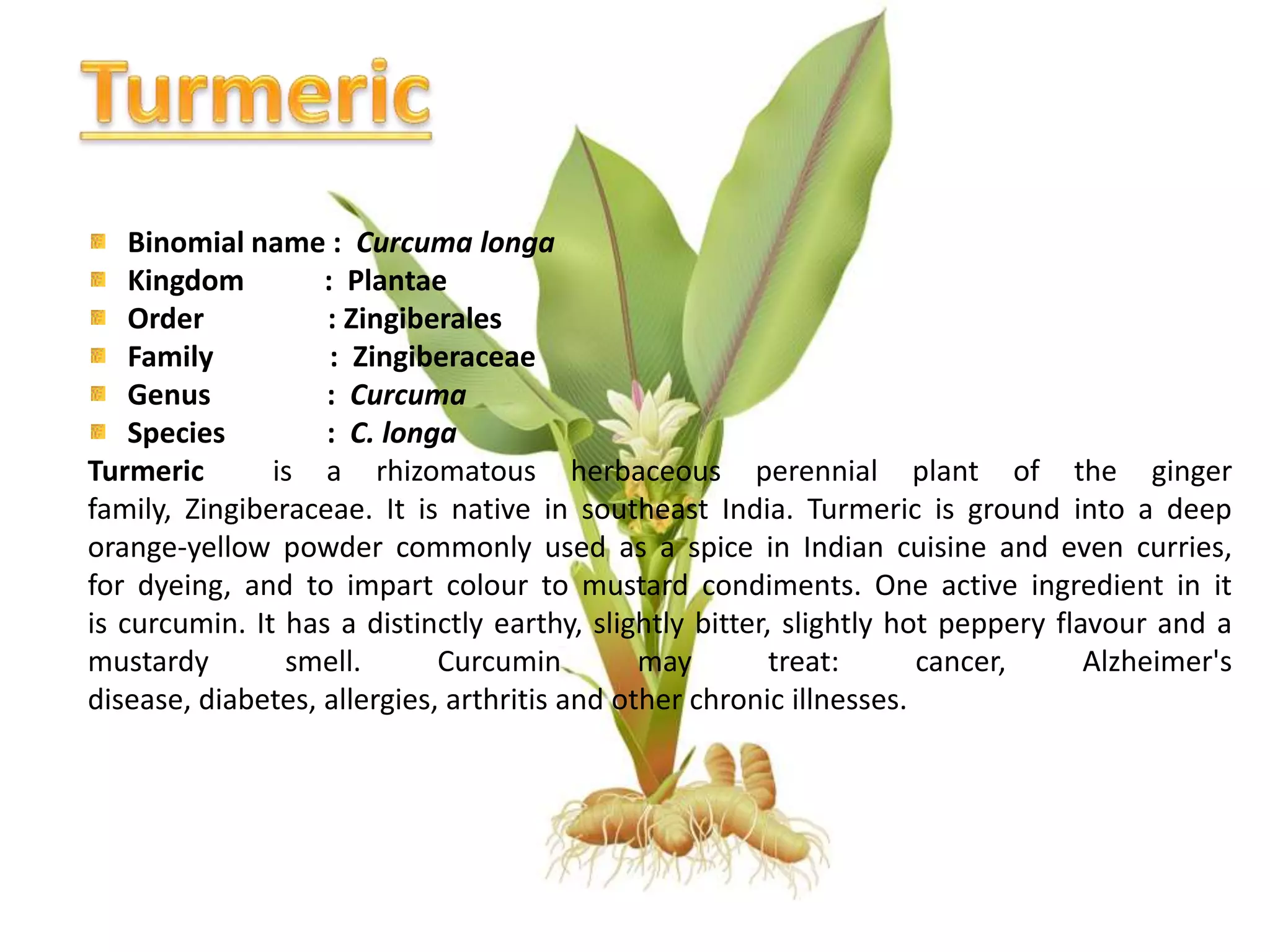Medicinal plants made by Hrithik sharma | PPTX