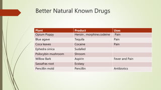 Medicinal plants By Mr Allah Dad Khan Visiting Professor the University ...