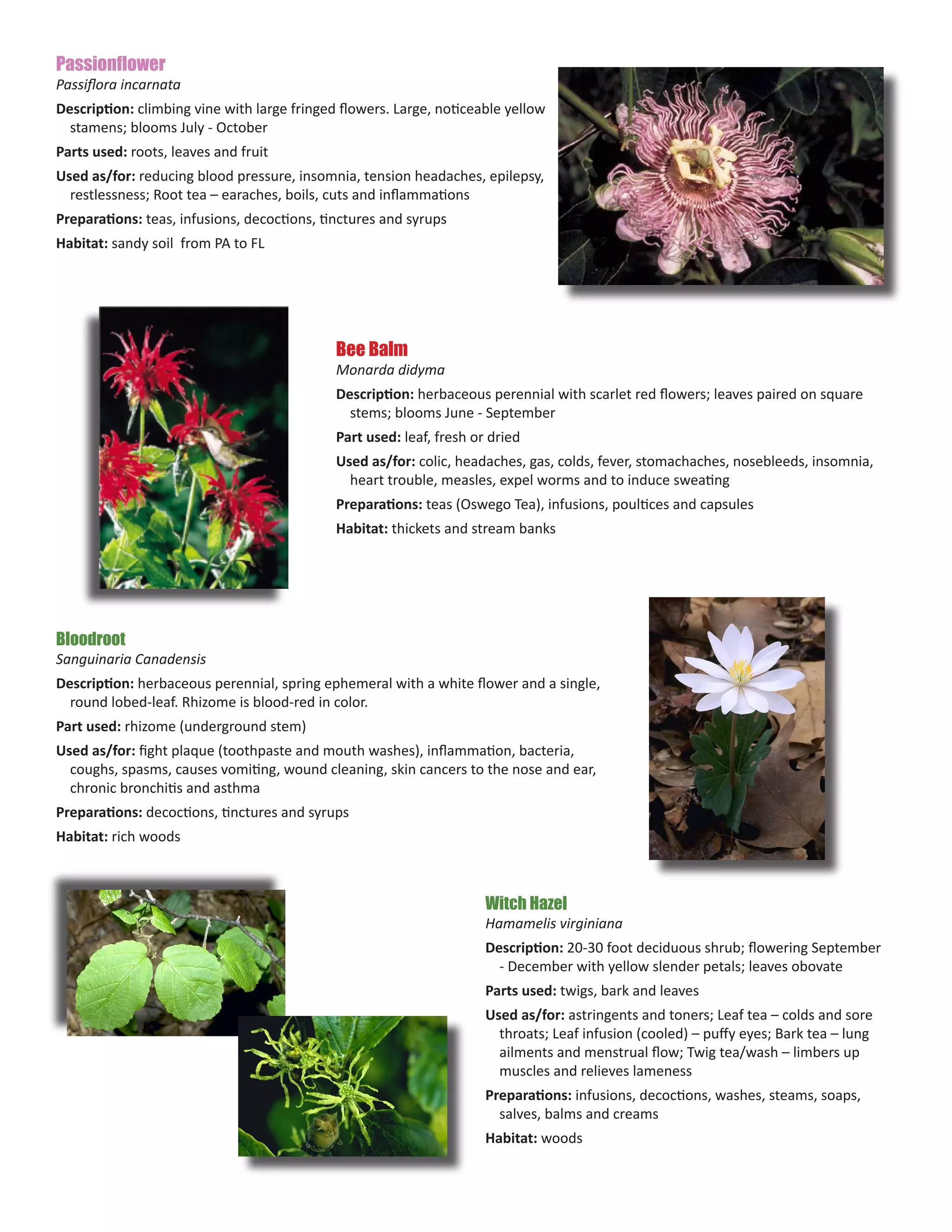 Medicinal plants | PDF