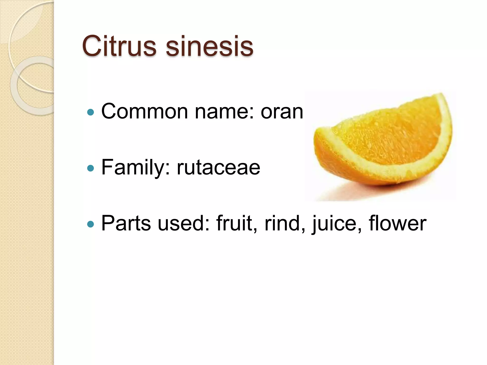 Medicinal plants the conventional drugs. | PPT