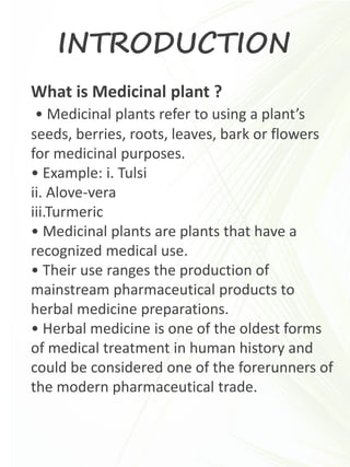 Medicinal plants | PPTX