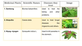 Medicinal Plants | PPT