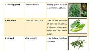 Medicinal Plants | PPT