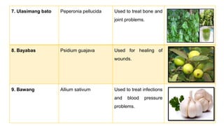 Medicinal Plants | PPT