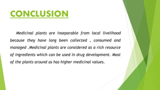 Medicinal Plants.pdf